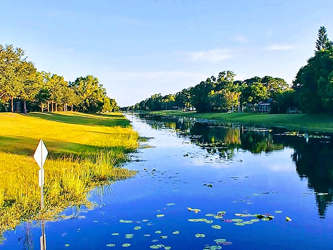 A postcard-perfect waterway flanked by manicured greens. Golf courses in Port St. Lucie don't just challenge your swing—they reward your eyes with views that make even triple bogeys bearable.