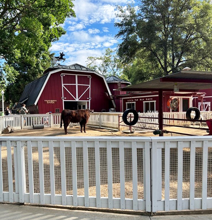 Old MacDonald had nothing on Farmer Brown's Barn, where city kids discover where milk comes from (spoiler: not the grocery store). 