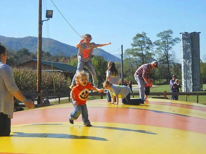 Who needs expensive theme parks when you've got this bouncy paradise? Kids experiencing pure joy without parents experiencing pure bankruptcy.