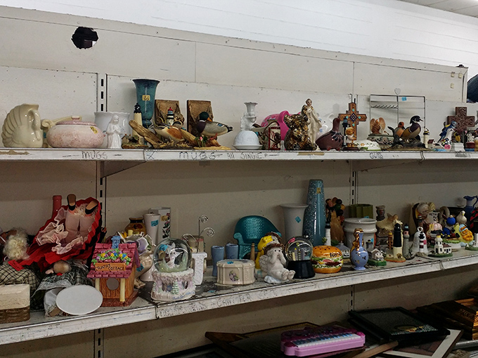 Grandma's curio cabinet has nothing on this shelf! Each ceramic figurine and knickknack holds stories from decades past, waiting for new chapters.