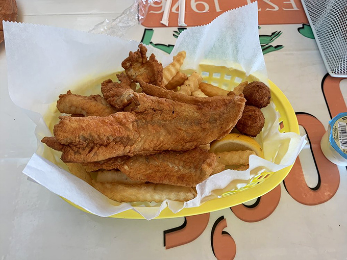 Fish so fresh it practically jumps onto your plate, wearing a crispy golden jacket that shatters with each bite.