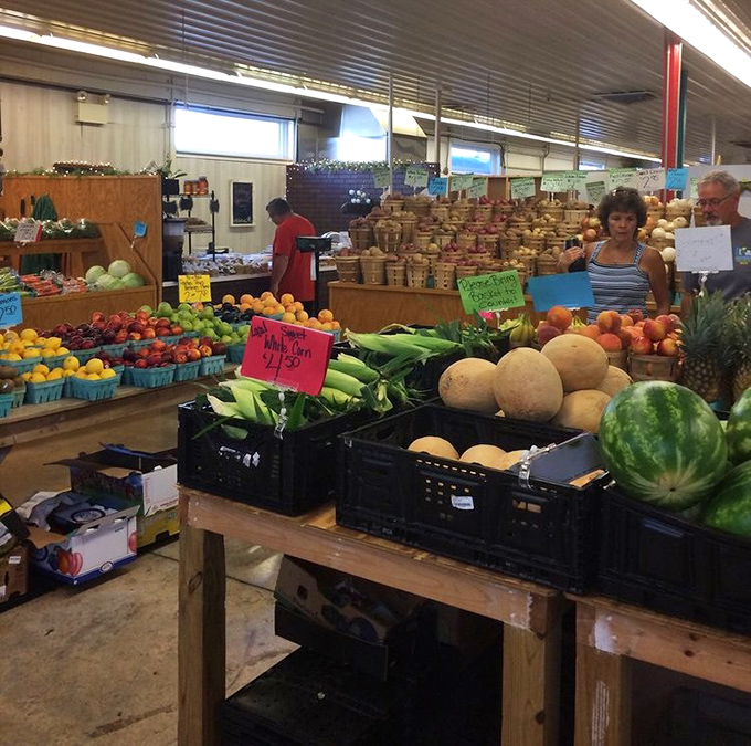 Nature's candy counter! These farm-fresh fruits bring vibrant colors and honest flavors that make grocery store produce look like sad imposters.