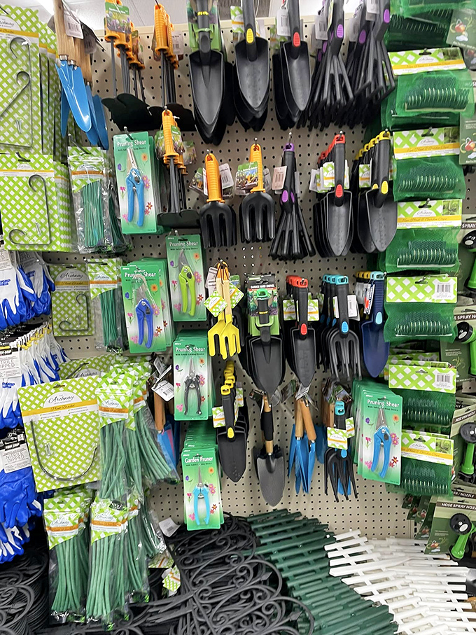 Garden tools that promise green thumbs without emptying your wallet. Tennessee's growing season just got more accessible with these budget-friendly cultivating companions.