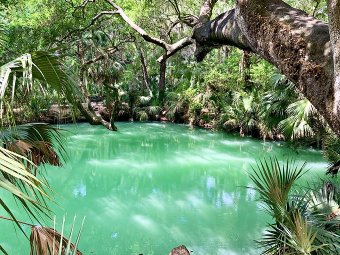 The main attraction: spring water so clear you'll question if it's actually there.