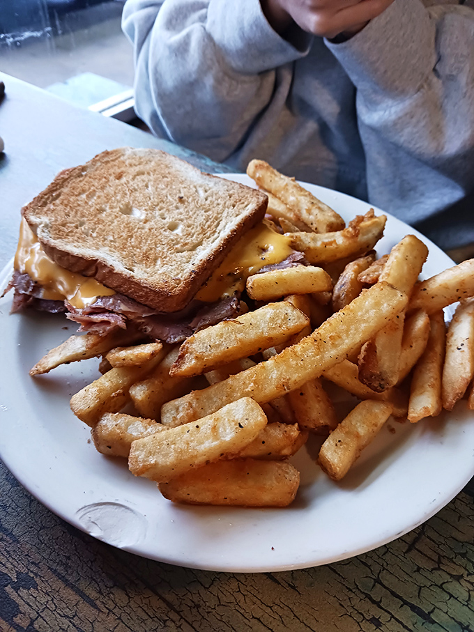 Golden-brown perfection meets melted cheese in a sandwich that would make a cardiologist weep (happy tears, probably).