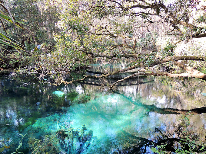 Sunlight dapples through the canopy, creating a light show on water so clear you'd swear it was just really clean air.