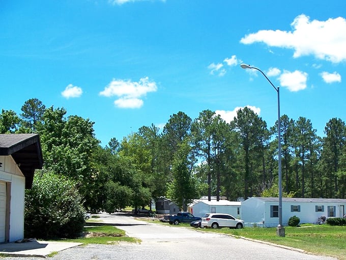 A slice of everyday Camden life &ndash; where the pace slows down just enough to notice what matters.