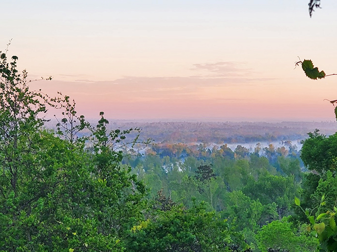 Sunset paints the forest in cotton candy hues, proving Florida can do "mountain views" without actual mountains. Take that, Colorado!