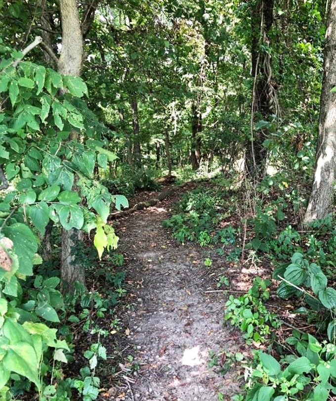 Not all who wander are lost, but this trail might make you want to be&mdash;at least until dinner time.