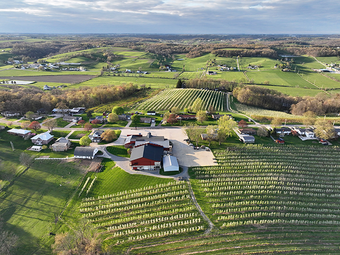 Bird's eye perfection &ndash; where farms are arranged with the precision of a Renaissance painting and every acre tells a story of stewardship.