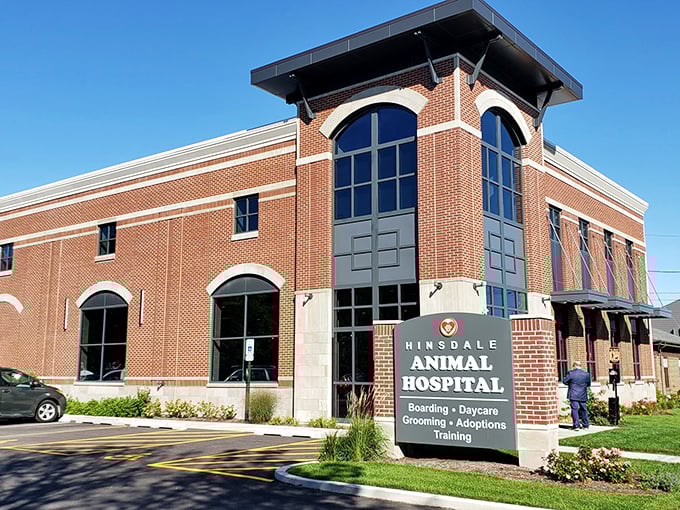 Even Fido gets the luxury treatment at Hinsdale Animal Hospital, where the building looks nicer than most people's medical offices.