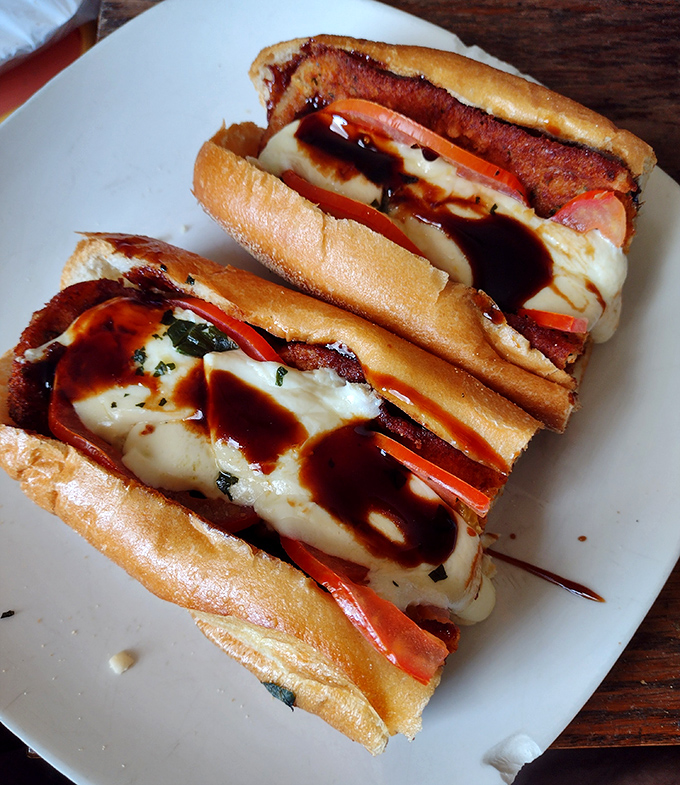 Behold the hoagie in its natural habitat—wrapped in paper, cut in half, revealing its glorious cross-section like a delicious geological formation.