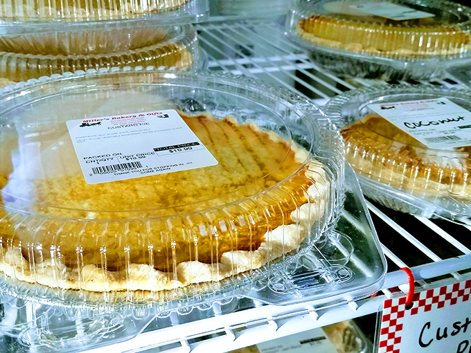 Homemade pies lined up like contestants in the world's most delicious beauty pageant. Spoiler alert: they're all winners.