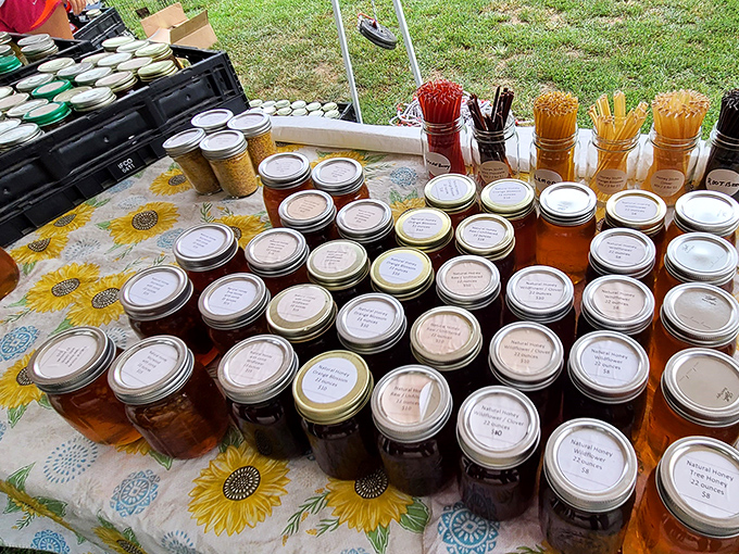 Liquid gold in mason jars! Homemade preserves and honey line up like edible jewels, each promising to transform ordinary toast into a breakfast revelation.