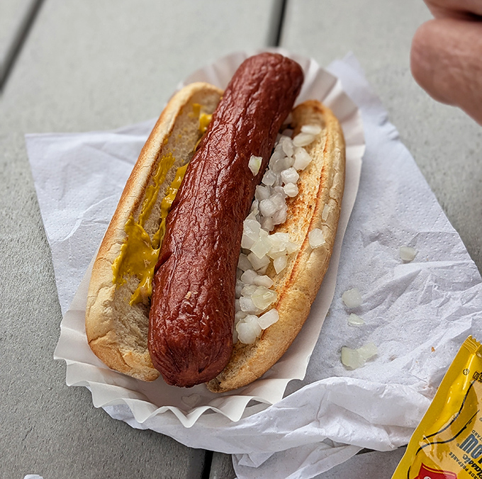 Some hot dogs are merely lunch; this one's a cultural artifact. Perfectly grilled, topped with diced onions and mustard—proof that simplicity, when done right, is revolutionary.