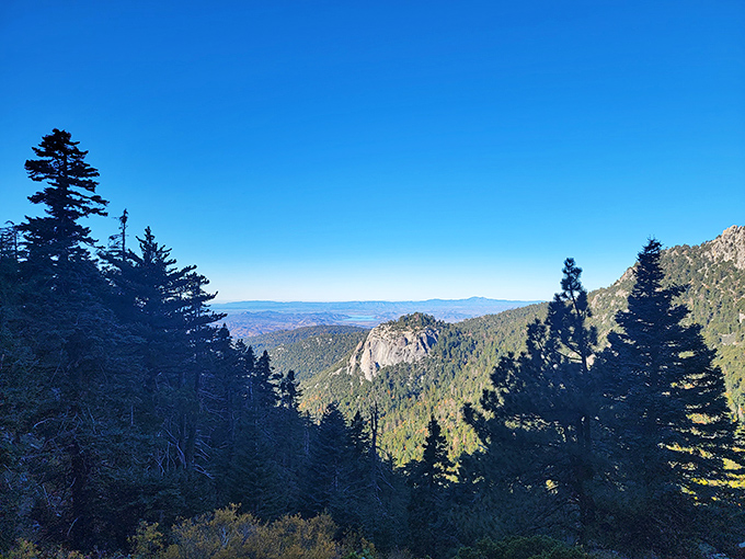 Tahquitz Peak stands sentinel over the forest. On clear days like this, you can see from desert to ocean&mdash;John Muir wasn't exaggerating.