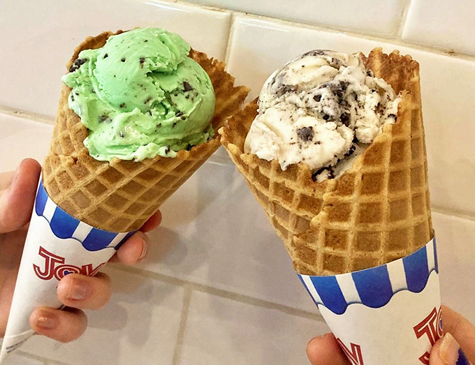Two scoops of pure joy nestled in fresh waffle cones—proof that happiness can indeed be held in your hands.