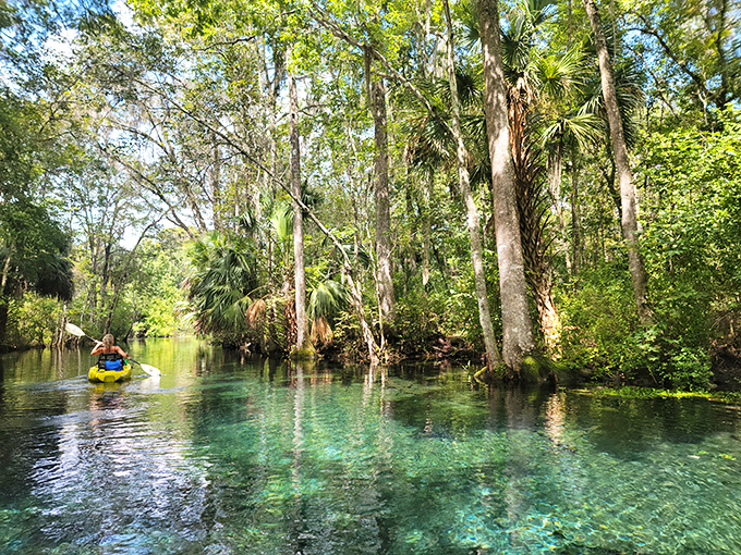 Kayaking through these pristine waters feels like gliding through liquid crystal. The underwater visibility puts most swimming pools to shame.