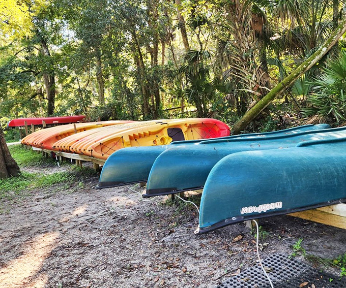 The kayak lineup looks like a rainbow that melted into boats. Pick your color and prepare for a paddle-powered adventure.