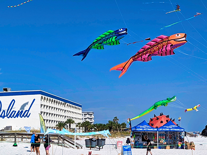 Flying fish that never needed water. The kite festival transforms Fort Walton's sky into an aquarium where nobody gets wet.