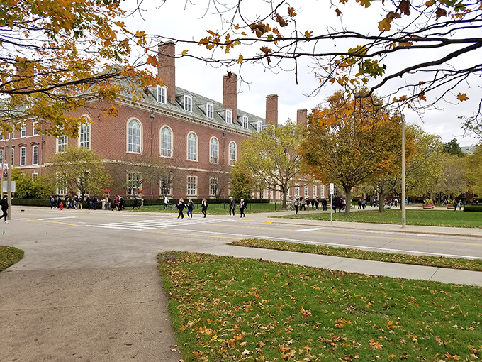 The stately brick buildings of the University of Illinois campus &ndash; where future Nobel Prize winners and future baristas alike find inspiration.
