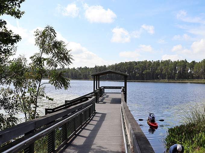 A wooden boardwalk stretches into serene waters at Lake Louisa State Park, where kayakers glide through nature's perfect stillness.
