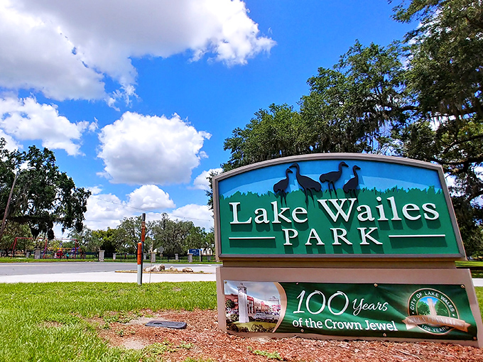 Lake Wailes Park celebrates its centennial as the "Crown Jewel" of the city. Those herons on the sign aren't just decoration—they're practically welcoming committee members.