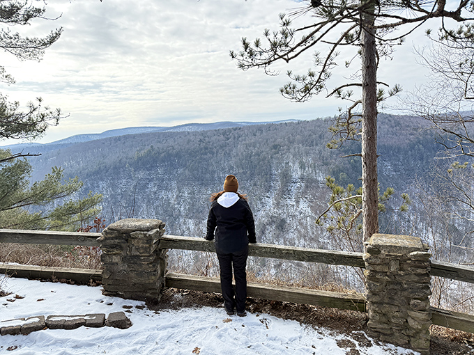 Winter at Leonard Harrison State Park transforms the landscape into a hushed wonderland where even the most dedicated phone-checkers pause to look up.