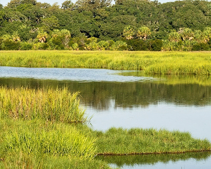 Golden marshes stretch to the horizon, creating nature's perfect watercolor &ndash; a landscape so serene it makes smartphone notifications seem like an offense against tranquility.