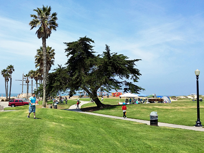 Marina Park delivers that quintessential California park experience without the crowds&mdash;proof that "beachfront relaxation" and "affordable" can still exist in the same sentence.