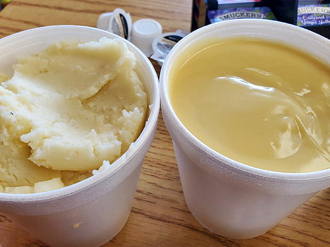 
Mashed potatoes so real you can count the lumps, paired with gravy that could make cardboard taste delicious. Comfort in two paper cups. 