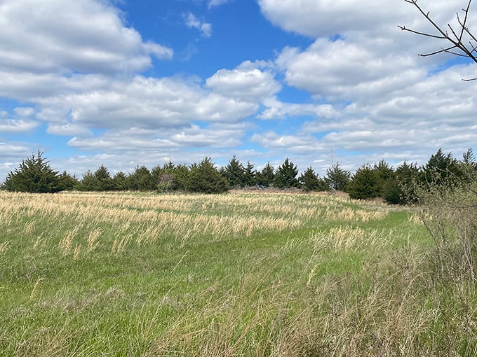 Prairie meets sky in a Midwestern masterpiece. Those clouds look like they were painted by the same artist who designed heaven's ceiling.