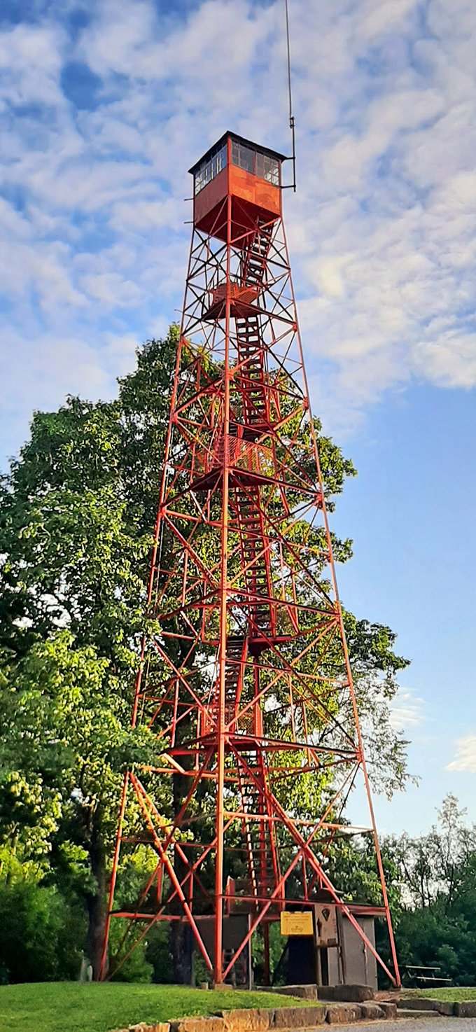 The fire tower stands like a rusty sentinel, promising panoramic views that'll make your smartphone camera feel woefully inadequate. 