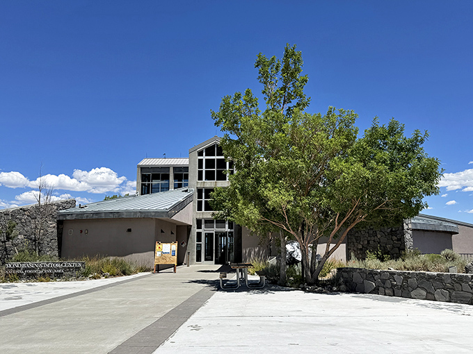 The Mono Basin Scenic Area Visitor Center welcomes explorers with exhibits explaining how this surreal landscape came to be.