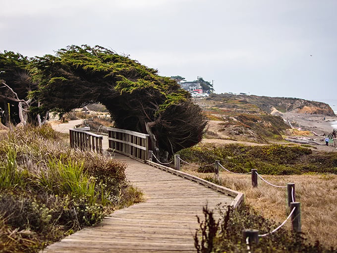 The wooden boardwalk at Moonstone Beach practically begs you to take a contemplative stroll. Philosophers and ice cream cones welcome.