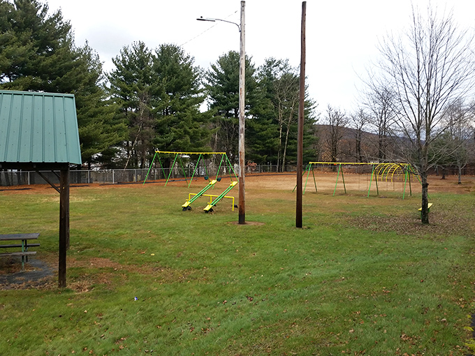 Simple pleasures reign supreme at this local playground where kids still prefer actual swings to the digital kind.