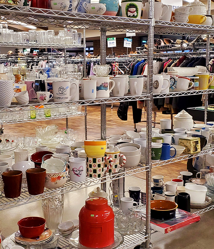 The mug section: where coffee vessels of every era congregate. From corporate giveaways to vacation souvenirs, each has a story waiting for a new chapter.