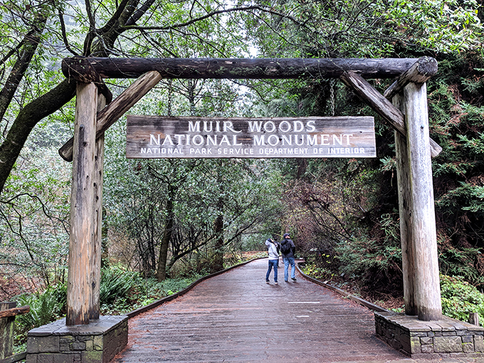 The entrance to Muir Woods, where the redwoods stand like ancient sentinels guarding secrets older than your favorite denim jacket.