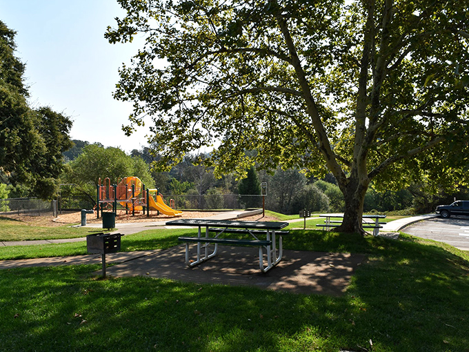 Nature's playground meets human design in this serene park setting, where picnic tables invite families to pause and enjoy the Sierra sunshine.