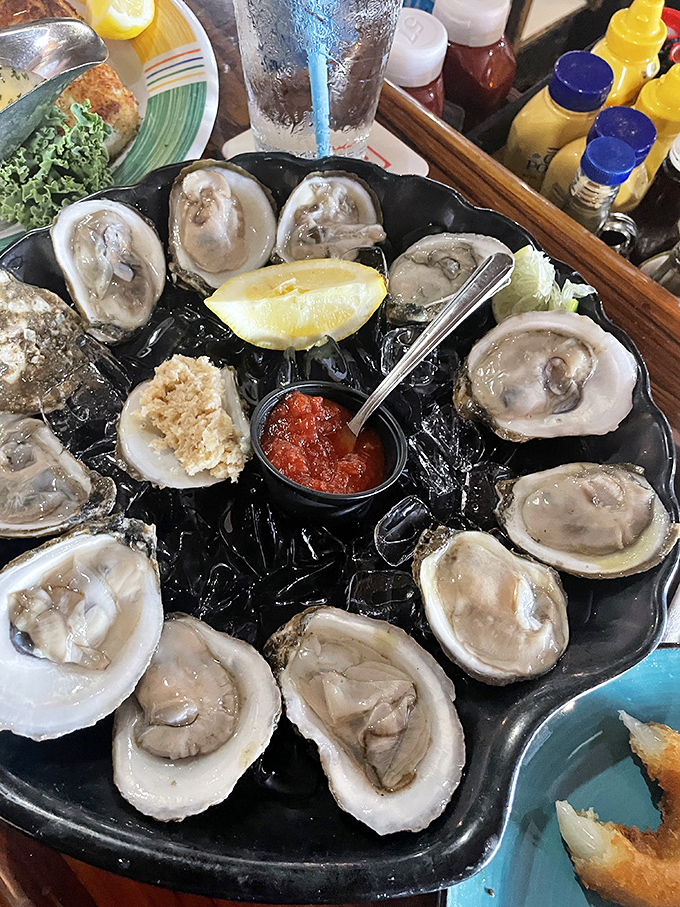 These oysters aren't just served, they're presented &ndash; glistening treasures from the sea that taste like the ocean's finest moment. 