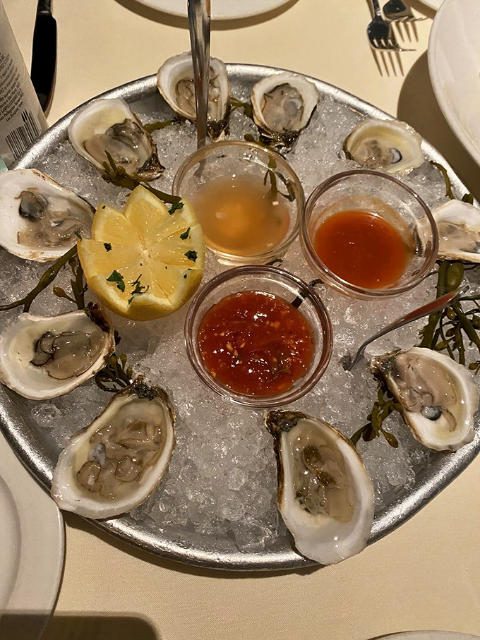 A circle of oysters arranged like nature's perfect appetizer&mdash;briny treasures from the sea with their own built-in serving dishes.