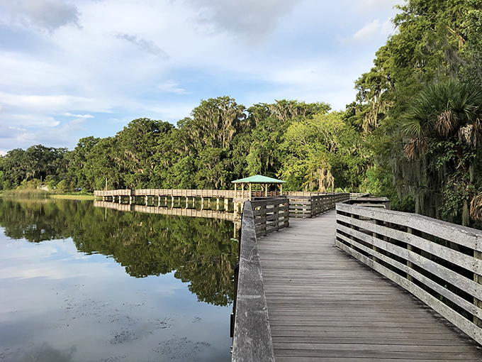 Palm Island Park's boardwalk offers front-row seats to Florida's natural splendor. Mother Nature showing off without charging admission.
