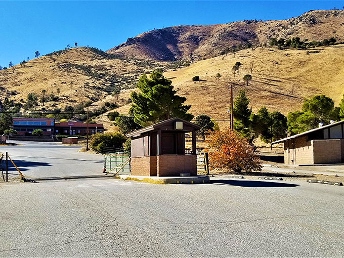 Those golden hills cradle small-town life perfectly&mdash;where a bus stop shelter becomes architectural art against nature's dramatic backdrop.