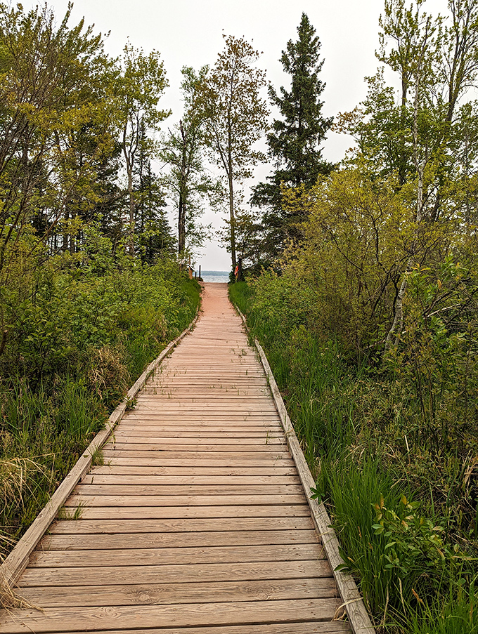 The path less traveled leads to the greatest rewards. This wooden walkway promises lake views that'll make your Instagram followers think you splurged on international travel.