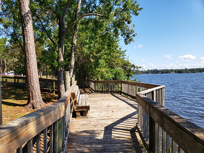 This wooden boardwalk at Pat Thomas Park offers million-dollar views on a Social Security budget. Nature's luxury comes standard in Quincy.