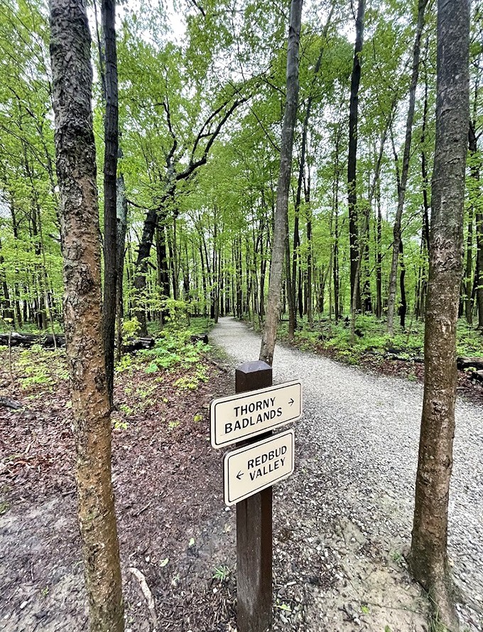 Trail signs that actually tell you where you're going&mdash;a revolutionary concept that more of life should adopt.