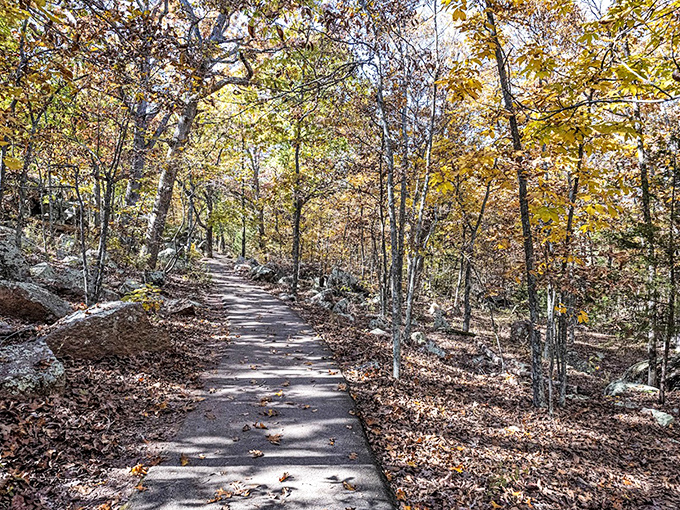 The Braille Trail winds through autumn splendor, its accessible design ensuring everyone can experience the park's geological wonders regardless of mobility.