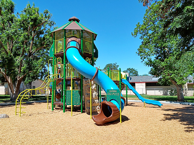 This playground isn't just for kids&mdash;it's a reminder that sometimes the simplest pleasures, like a perfect blue slide against blue skies, matter most.