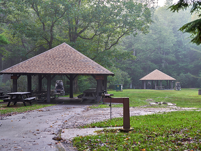Rain-kissed picnic pavilions waiting for your family gathering. The best restaurant in Jefferson County has no walls or reservation list.