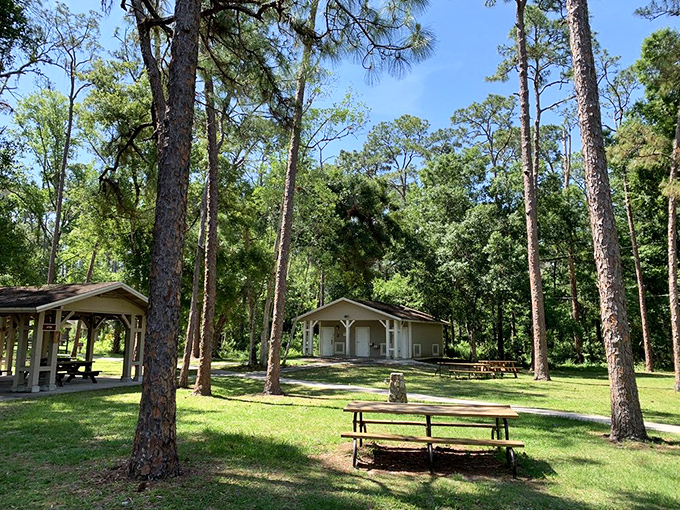 Picnic tables positioned where every meal comes with a million-dollar view included.